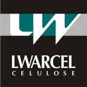 Lwarcel Celulose quer ampliar produção em 4 vezes em 2019 com novos ...